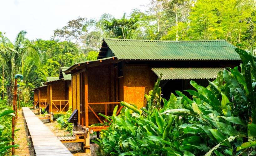 Amazon Rainforest Express - 3 days | On The Go Tours