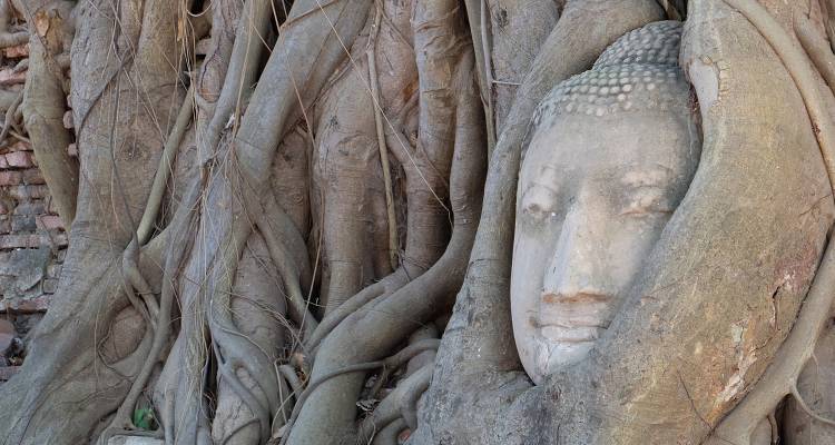 Tour | Bangkok & Northern Thailand - 7 days | On The Go Tours | 3093/BANTE