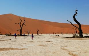 Best Namibia Safari Tours & Trips 2024/25 | On The Go Tours | ZA
