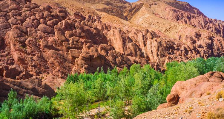 Tour | Morocco Discovery from Casablanca - 9 days | On The Go Tours ...