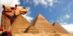 Tours to the Middle East & North Africa | On The Go Tours