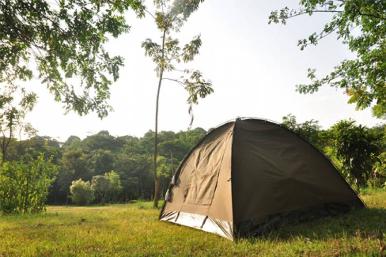 28-Day East Africa Camping Safari Tour | On The Go Tours