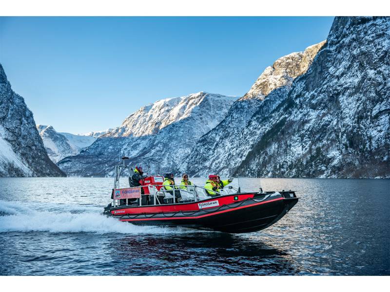 Vision of the Fjords RIB boat Safari upgrade | On The Go Tours | AU