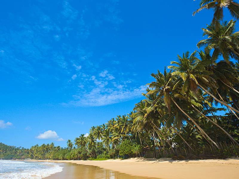 Bentota Beach Break (5 Star) | On The Go Tours | IE