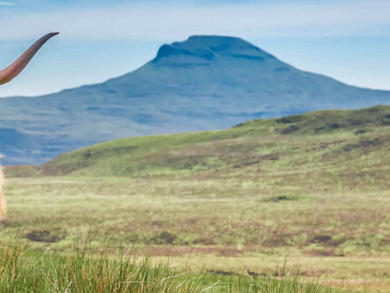 Best Scotland Tours & Trips 2024/2025 | On The Go Tours