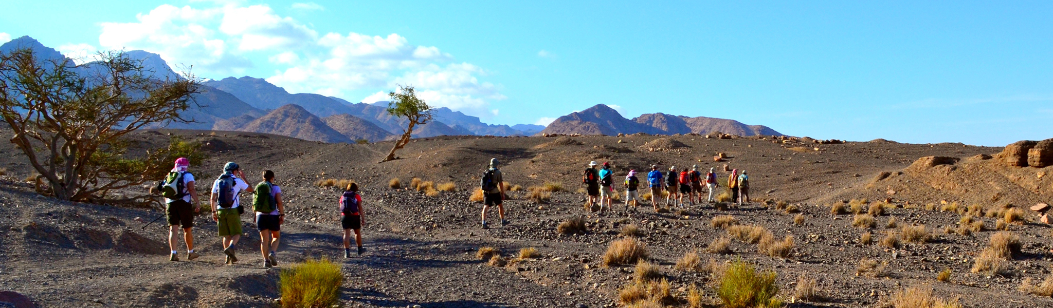 Themed Guided Tours with On The Go Tours