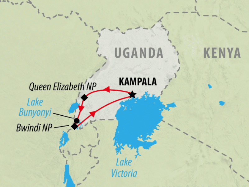 Uganda 6-Day Gorilla Trekking Group Tour | On The Go Tours | AU