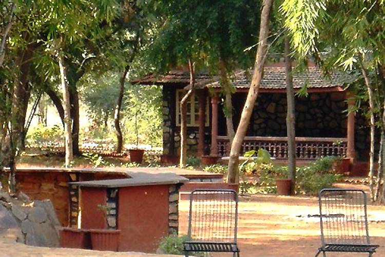 Tiger safari tours to Ranthambore in India | On The Go Tours